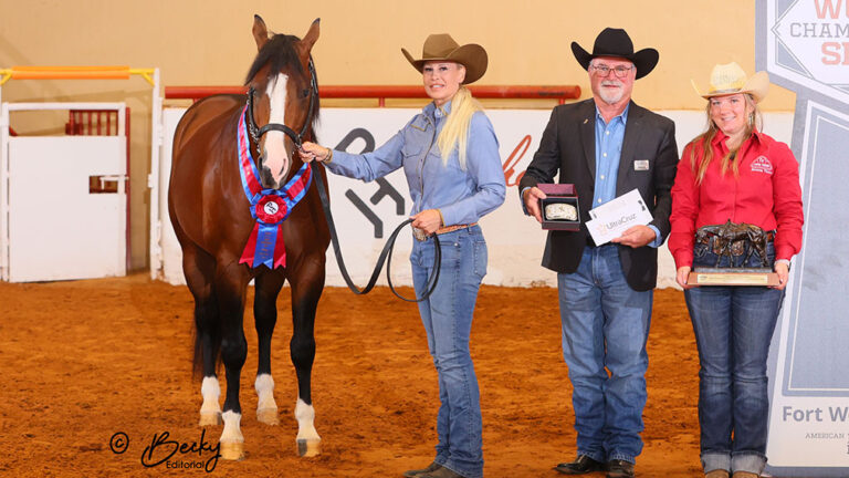 Classes – International Ranch Horse Association